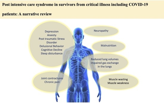 Life | Free Full-Text | Post-Intensive Care Syndrome in Survivors from Critical Illness ...