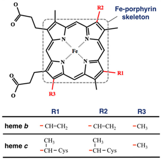 Analysis of Fluctuation in the Heme-Binding Pocket and Heme Distortion ...