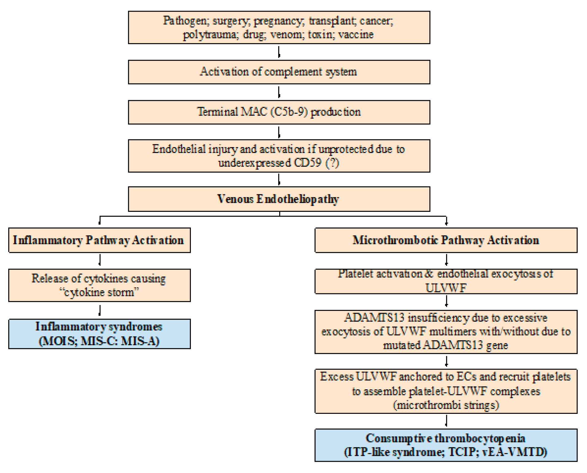Pathogenesis of Two Faces of DVT: New Identity of Venous ...