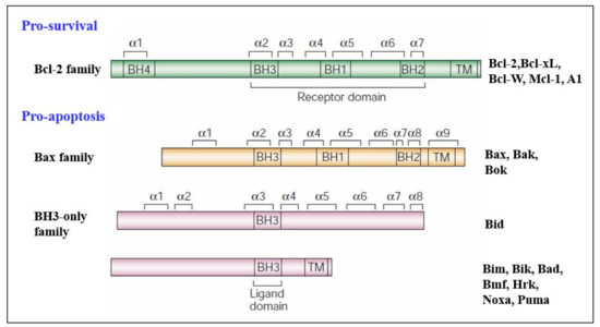 BH3-Only Proteins Noxa and Puma Are Key Regulators of Induced Apoptosis