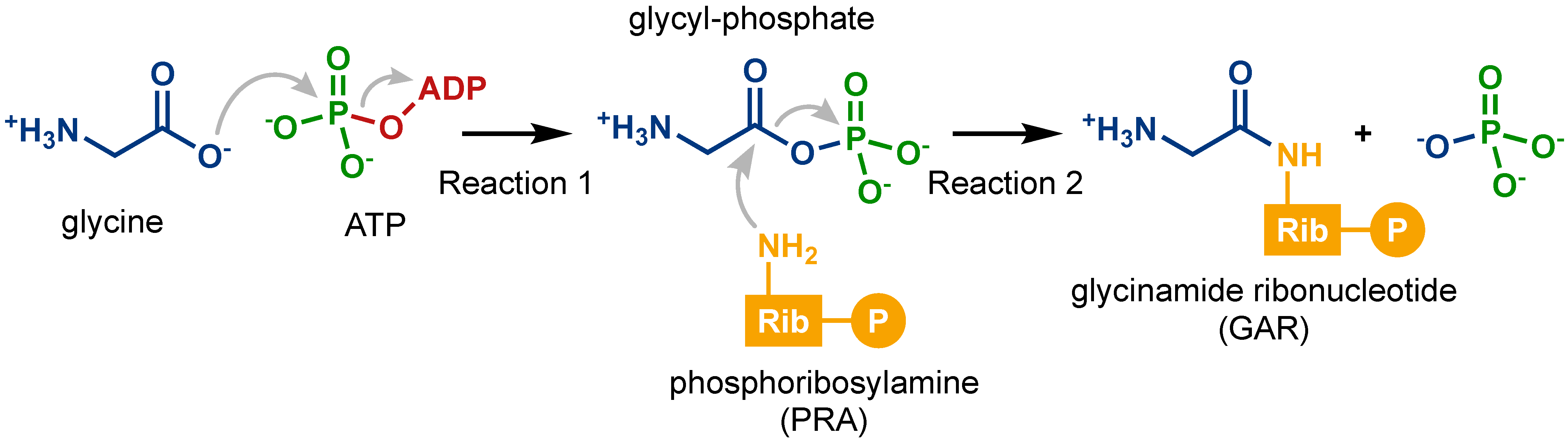 Free-Energy Profile Analysis of the Catalytic Reaction of Glycinamide ...