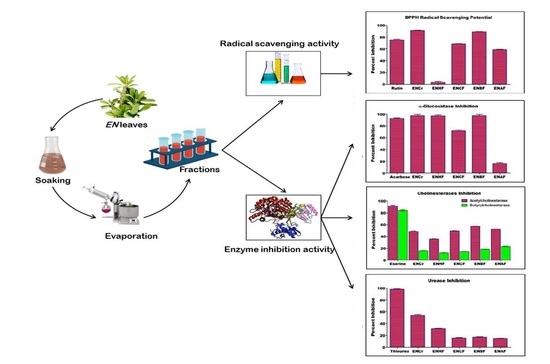 Life | Free Full-Text | Investigation of Euphorbia nivulia-HAM for ...