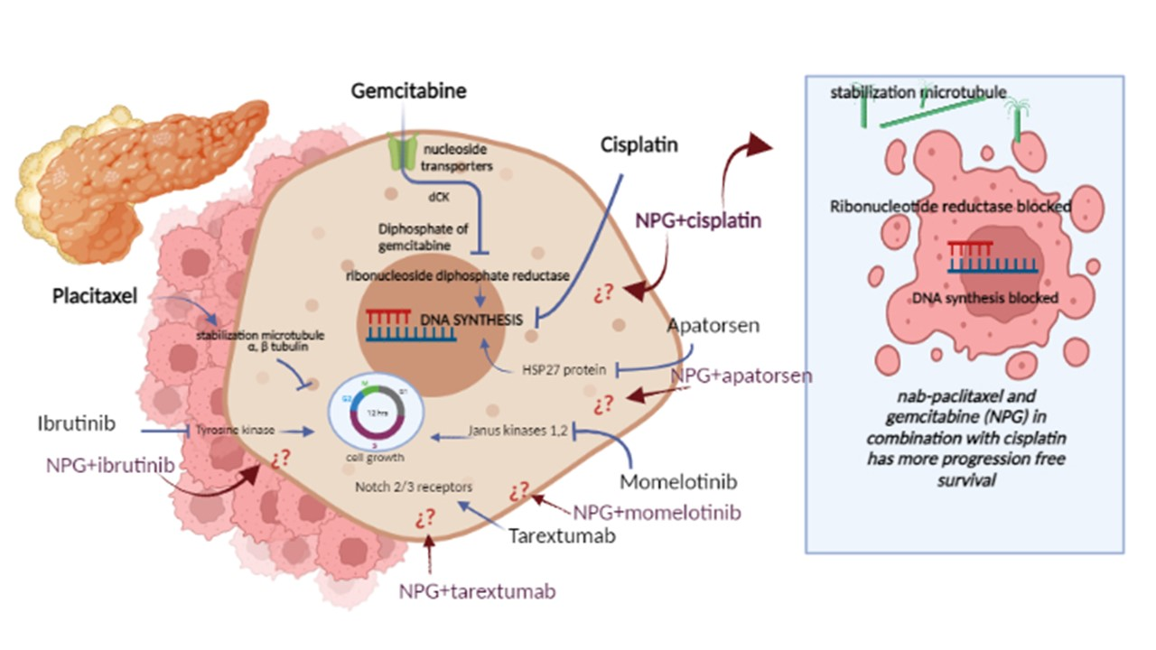 Life | Free Full-Text | A Review on the Efficacy and Safety of Nab ...