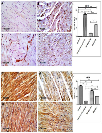 Life | Special Issue : Exosomes: Biogenesis, Biologic Function and ...