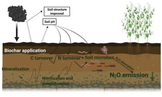 Management Strategies to Mitigate N2O Emissions in Agriculture