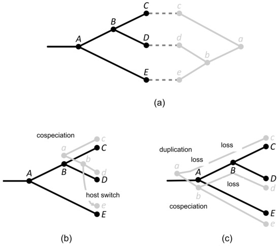 Tree Reconciliation Methods for Host-Symbiont Cophylogenetic Analyses