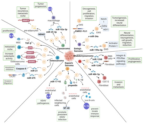 Life | Special Issue : Exosomes: Biogenesis, Biologic Function and ...