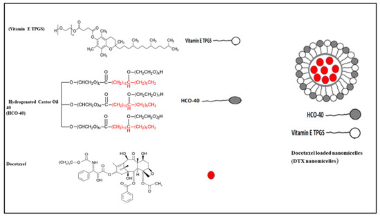 Life | Free Full-Text | Self-Assembled Nanomicellar Formulation of ...