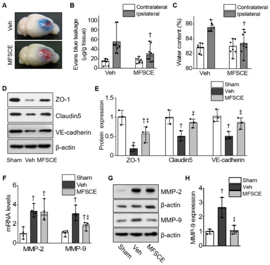 Life | An Open Access Journal from MDPI