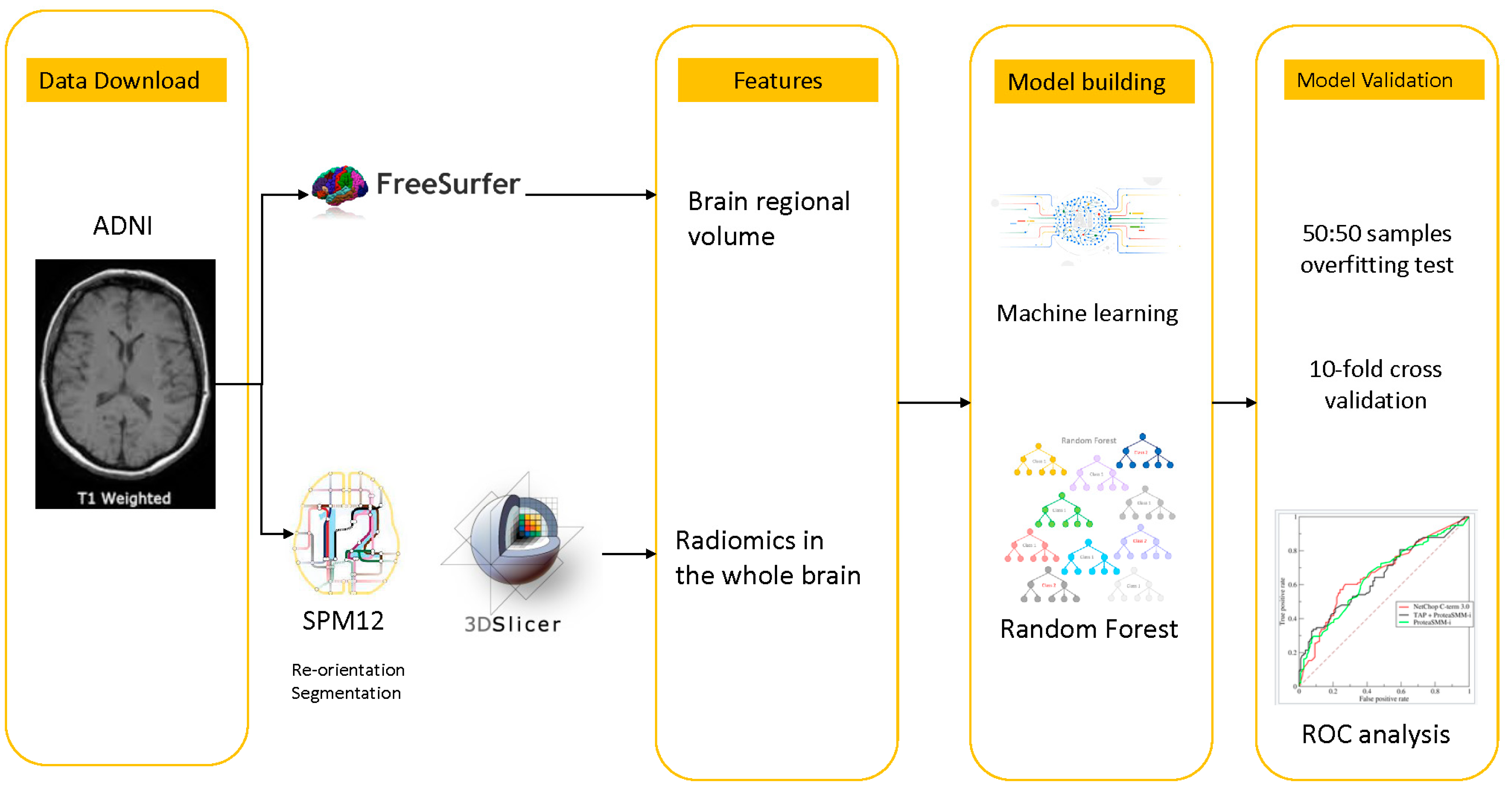 Radiomics-Based Artificial Intelligence Differentiation of ...