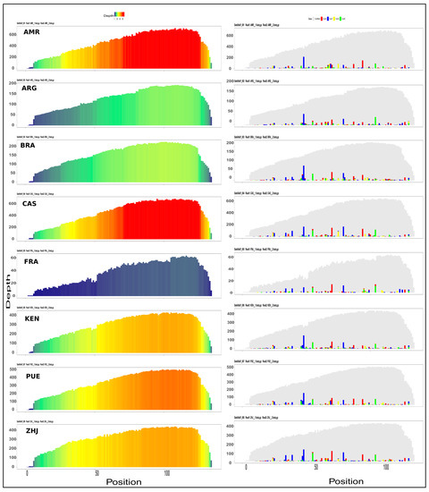 Life | An Open Access Journal from MDPI