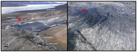 Life | An Open Access Journal from MDPI