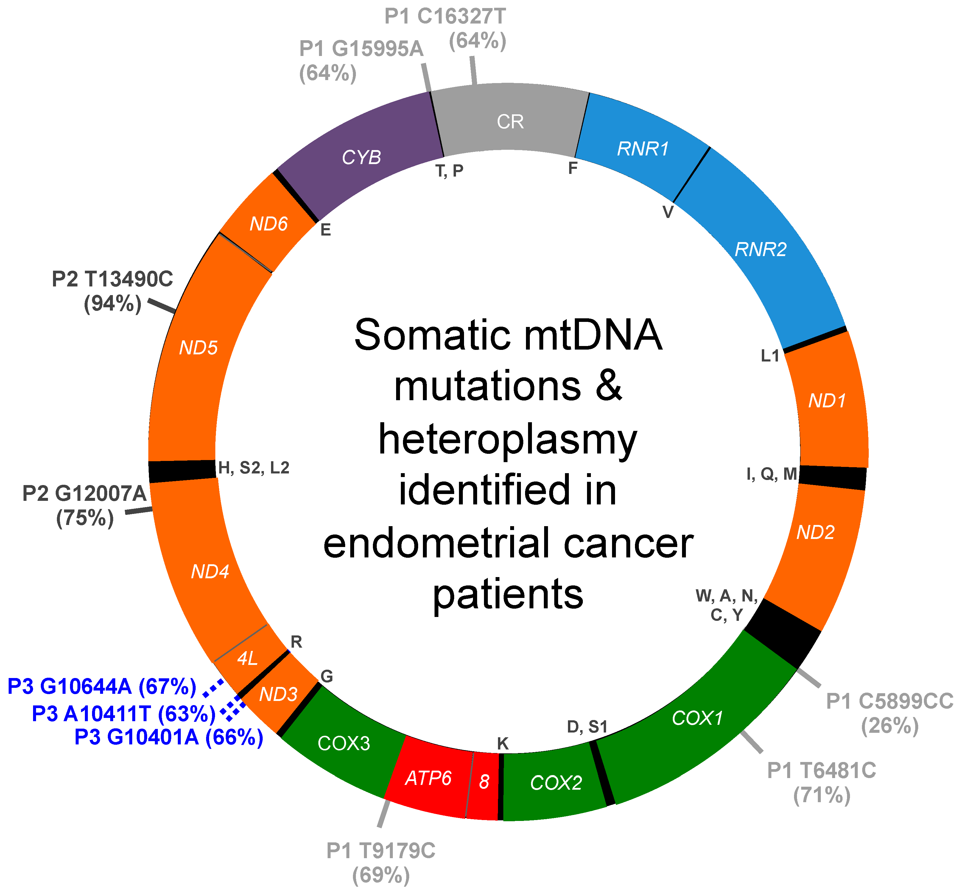 Identification of Somatic Mitochondrial DNA Mutations Identification of Somatic Mitochondrial DNA Mutations