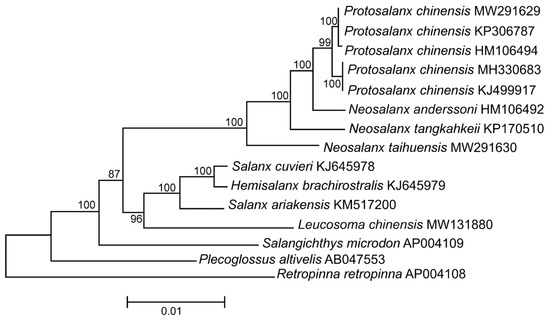 Recombinant Mitochondrial Genomes Reveal Recent Interspecific ...