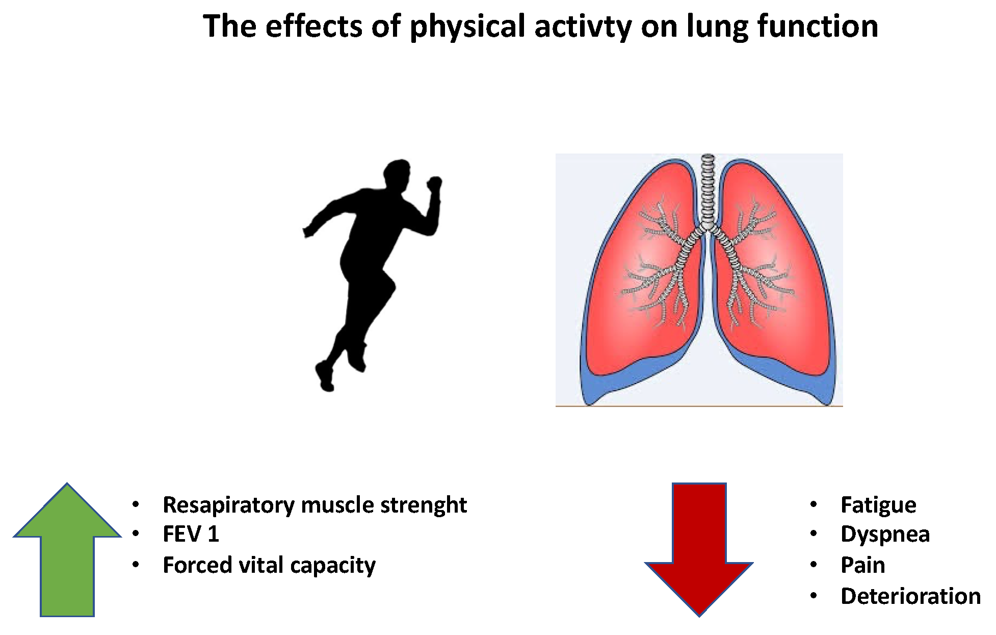 The Beneficial Effects of Physical Activity in Lung Cancer Prevention ...