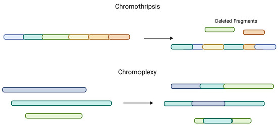 Review of Multiple Myeloma Genetics including Effects on Prognosis ...