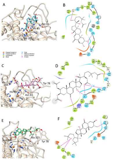 Ecdysteroids as Potent Enzyme Inhibitors and Verification of Their ...