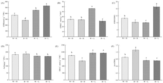 Unearthing the Alleviatory Mechanisms of Brassinolide in Cold Stress in ...