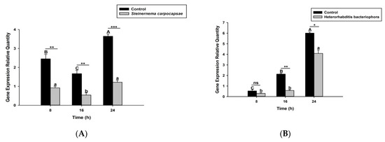 The Entomopathogenic Nematodes H. bacteriophora and S. carpocapsae ...