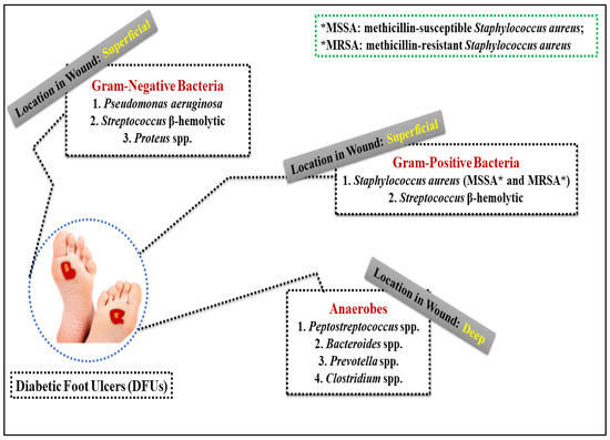 Life | An Open Access Journal from MDPI