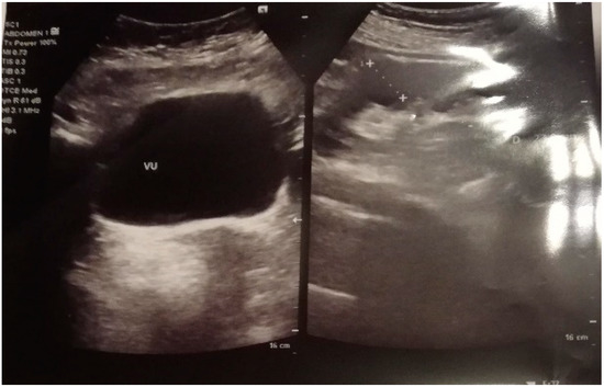 Life | An Open Access Journal from MDPI