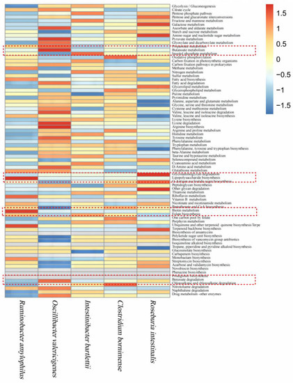 Life | An Open Access Journal from MDPI