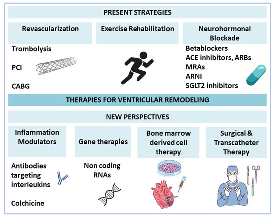 Left Ventricular Remodeling after Myocardial Infarction: From ...
