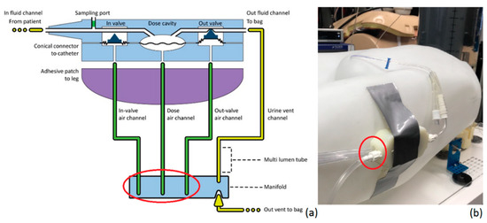 Pre-Clinical Validation of A Novel Continuous Intra-Abdominal Pressure ...