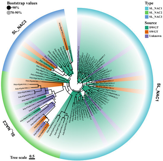 Genome-Wide Analysis of the NAC Family Associated with Two ...