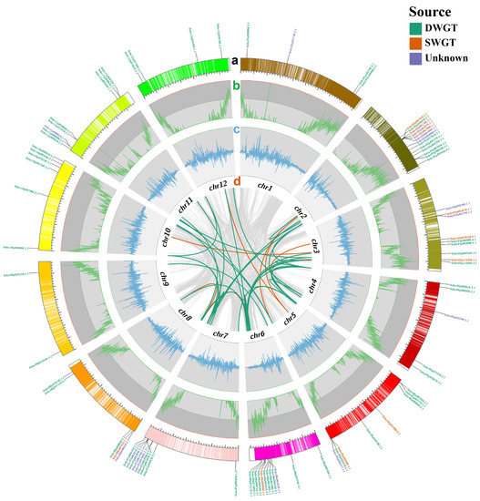 Genome-Wide Analysis of the NAC Family Associated with Two ...