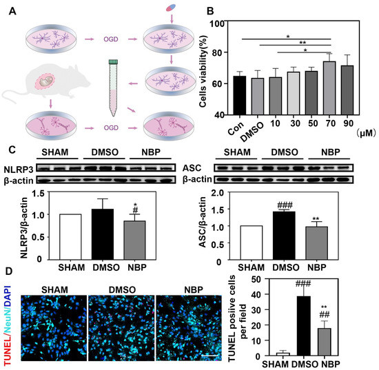 Life | An Open Access Journal from MDPI