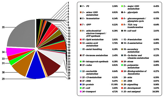 Life | An Open Access Journal from MDPI
