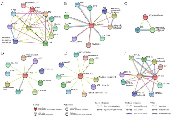 Life | An Open Access Journal from MDPI