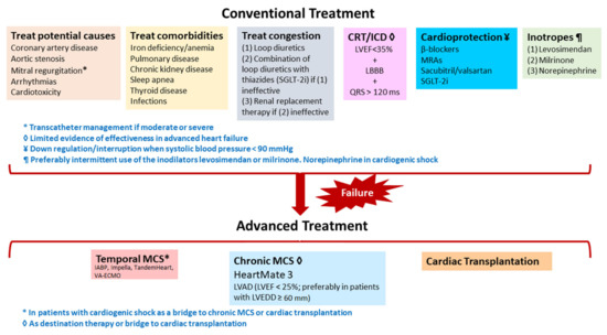 A Holistic View of Advanced Heart Failure