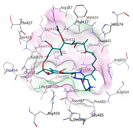 Structural Design and Synthesis of Novel Cyclic Peptide Inhibitors ...