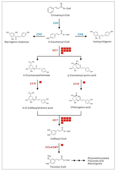 Transcriptome Analysis Provides Insights into Potentilla bifurca ...