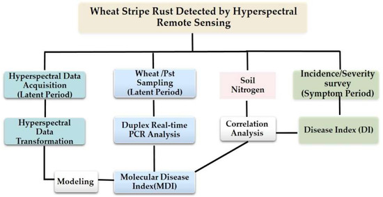 Epidemic of Wheat Stripe Rust Detected by Hyperspectral Remote Sensing and Its Potential ...