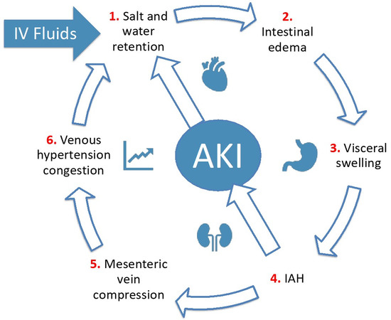 Fluid Management, Intra-Abdominal Hypertension and the Abdominal ...