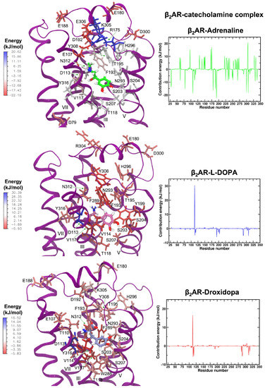 L-DOPA and Droxidopa: From Force Field Development to Molecular Docking ...
