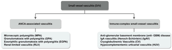 Type of ANCA May Be Indispensable in Distinguishing Subphenotypes of ...