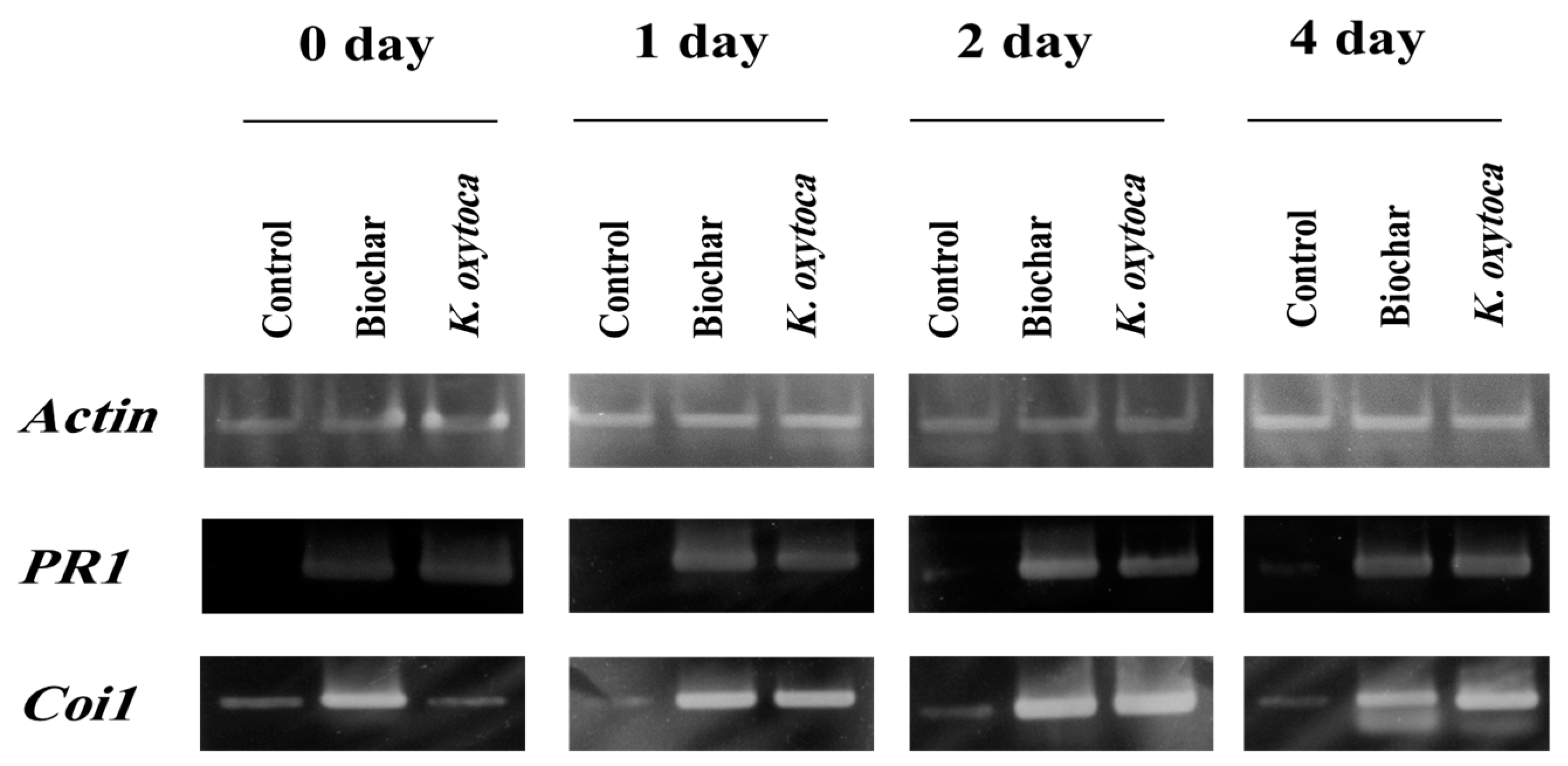 Systemic Resistance Induction of Potato and Tobacco Plants against ...