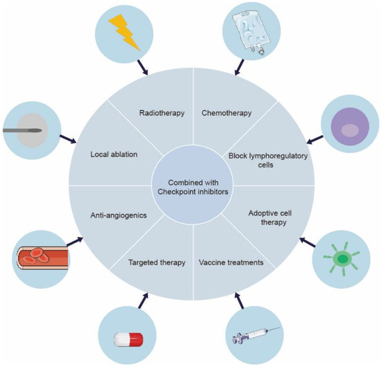 The Complement System: A Potential Therapeutic Target in Liver Cancer