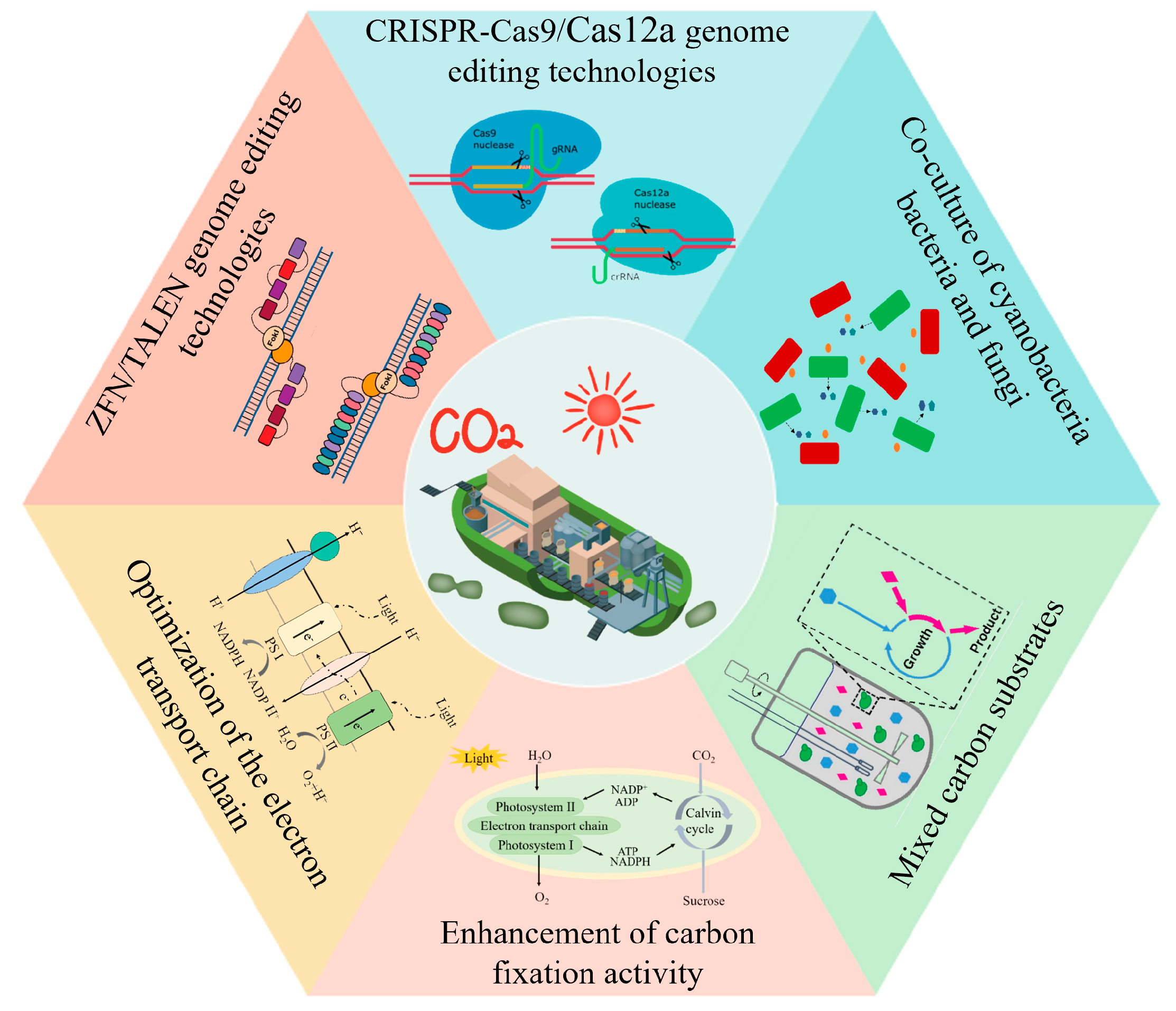 Life Free Full Text Light Driven Synthetic Biology Progress In