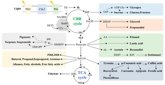 Light-Driven Synthetic Biology: Progress in Research and ...