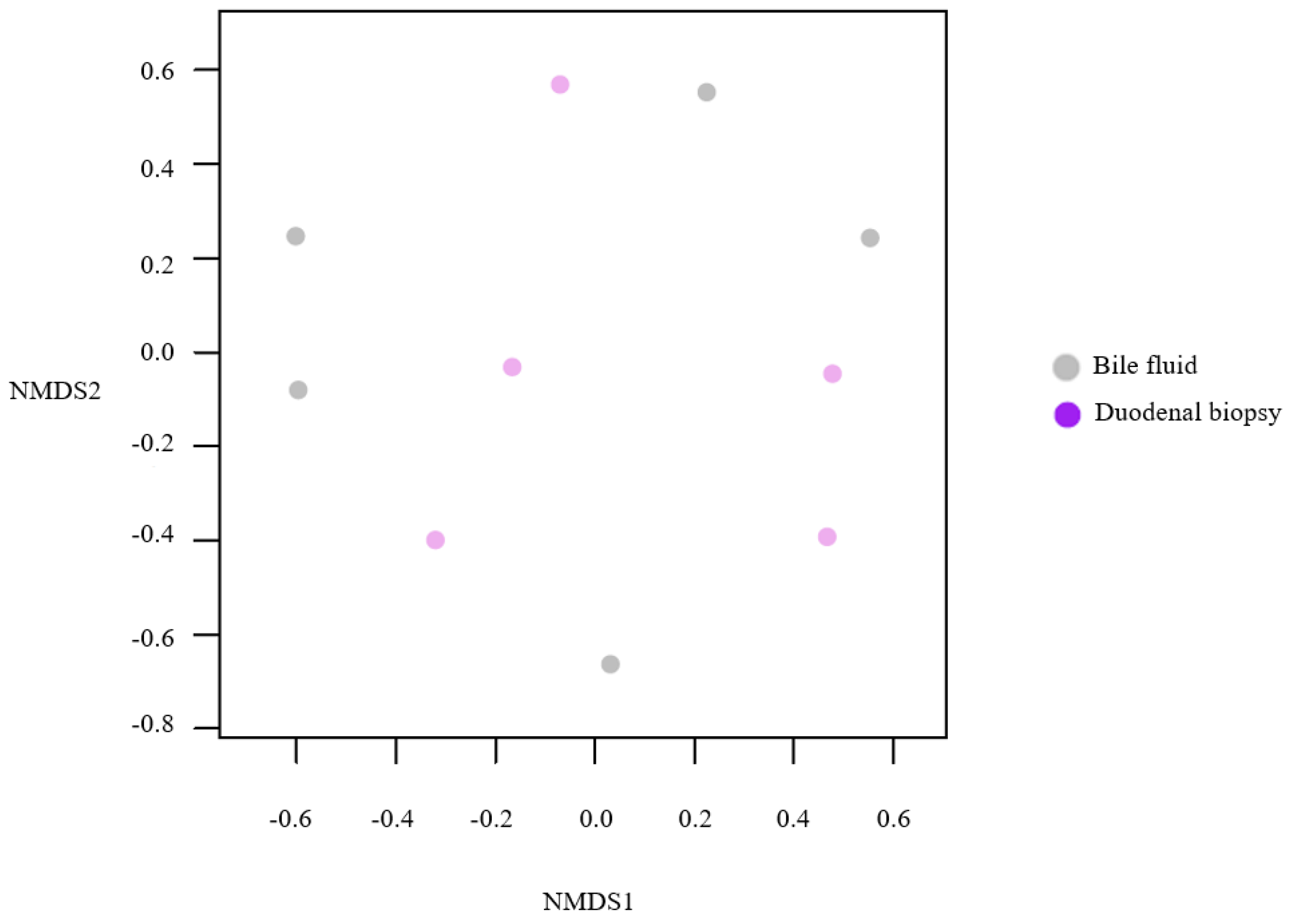 Bile Microbiome In Patients With Recurrent Common Bile Duct Stones And Correlation With The