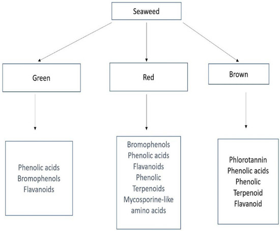 Seaweed-Derived Phenolic Compounds in Growth Promotion and Stress ...