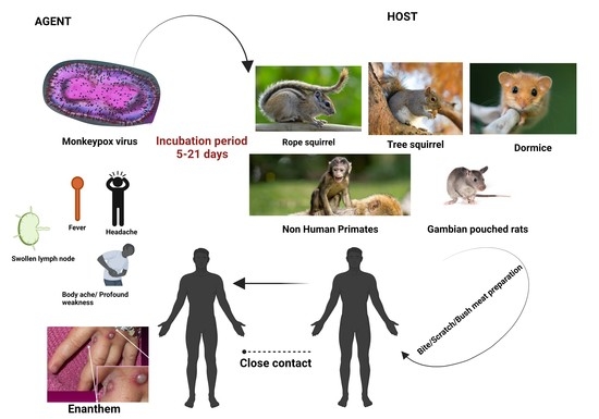 Life | Free Full-Text | Monkeypox: An Emerging Global Public Health ...