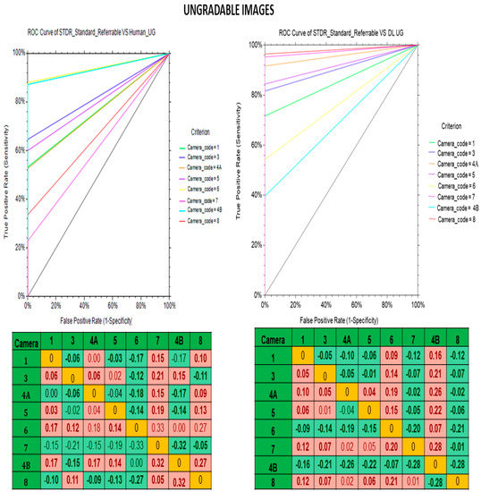 Influence of Different Types of Retinal Cameras on the Performance of Deep Learning Algorithms ...