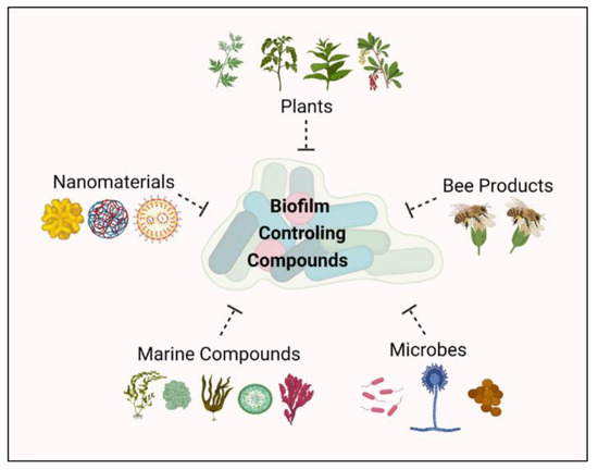 Natural Strategies as Potential Weapons against Bacterial Biofilms