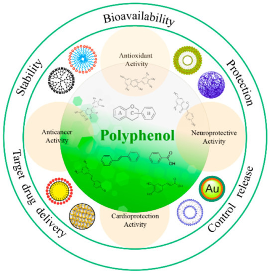 Polyphenols and Their Nanoformulations: Protective Effects against ...